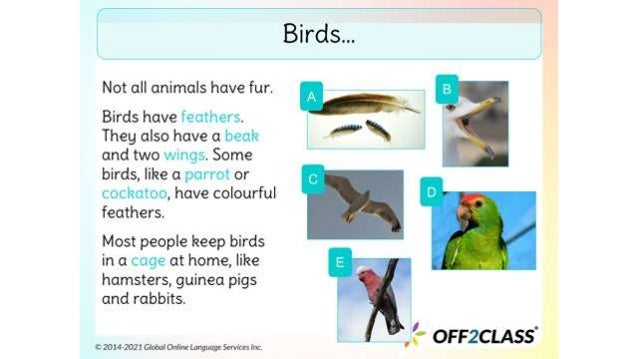 A Free ESL Lesson Plan On Animals And Pets | PPTX