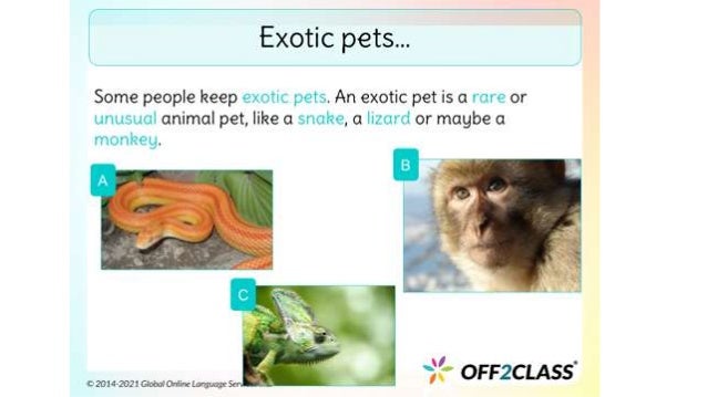 A Free ESL Lesson Plan On Animals And Pets | PPTX