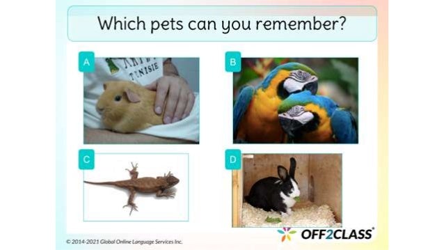 A Free ESL Lesson Plan On Animals And Pets | PPTX