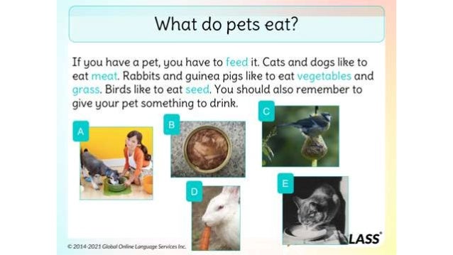 A Free ESL Lesson Plan On Animals And Pets | PPTX