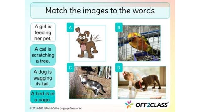 A Free ESL Lesson Plan On Animals And Pets | PPTX