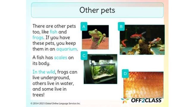 A Free ESL Lesson Plan On Animals And Pets | PPTX