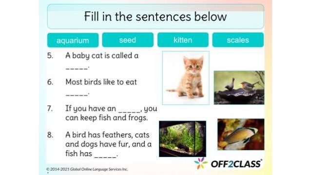 A Free ESL Lesson Plan On Animals And Pets | PPTX