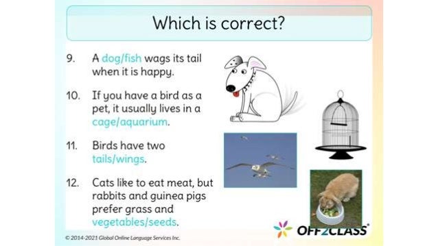 A Free ESL Lesson Plan On Animals And Pets | PPTX