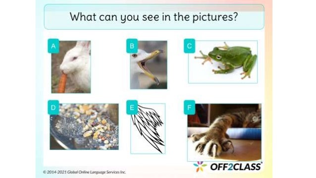 A Free ESL Lesson Plan On Animals And Pets | PPTX