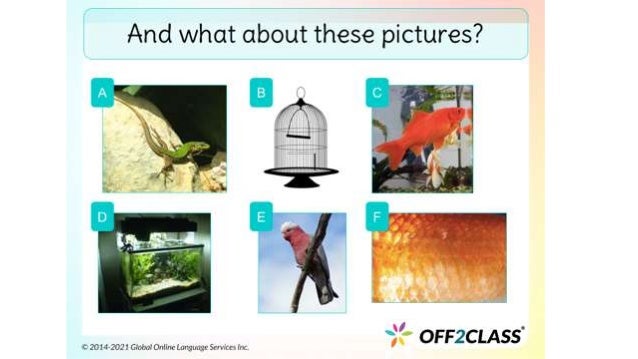 A Free ESL Lesson Plan On Animals And Pets | PPTX