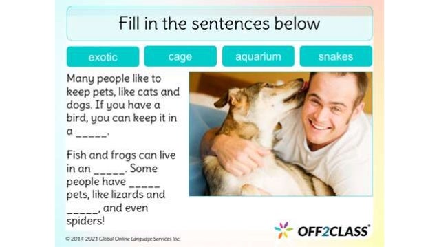 A Free ESL Lesson Plan On Animals And Pets | PPTX