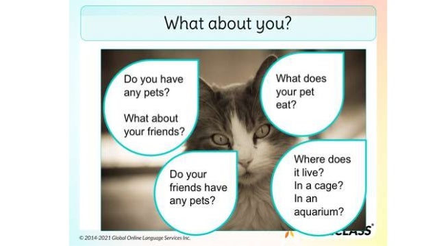 A Free ESL Lesson Plan On Animals And Pets | PPTX | Daycare and Pre ...