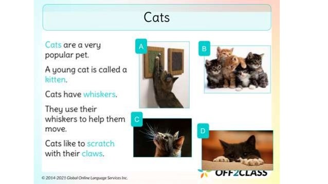 A Free ESL Lesson Plan On Animals And Pets | PPTX