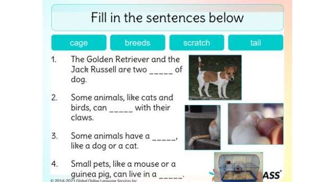 A Free ESL Lesson Plan On Animals And Pets | PPTX