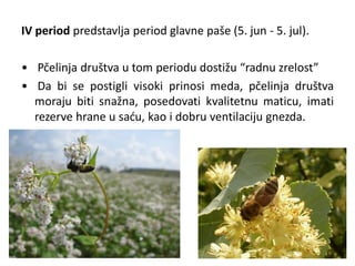 V1_2_Dinamika_razvica_pcelinje_zajednice.pdf