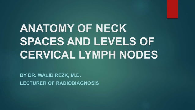 Anatomy of neck spaces | PPTX