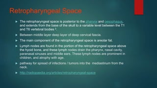 Anatomy of neck spaces | PPTX