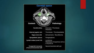 Anatomy of neck spaces | PPTX