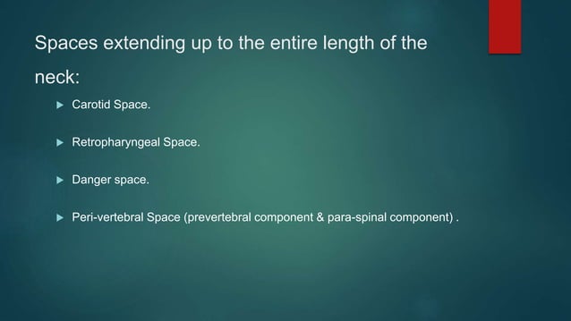 Anatomy of neck spaces | PPTX