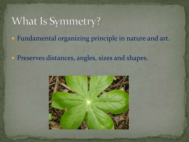 Symmetry | PPTX | Geography | Science