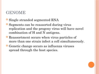 V1 RESPIRATORY VIRUSES.pptx it used by medical student | PPTX