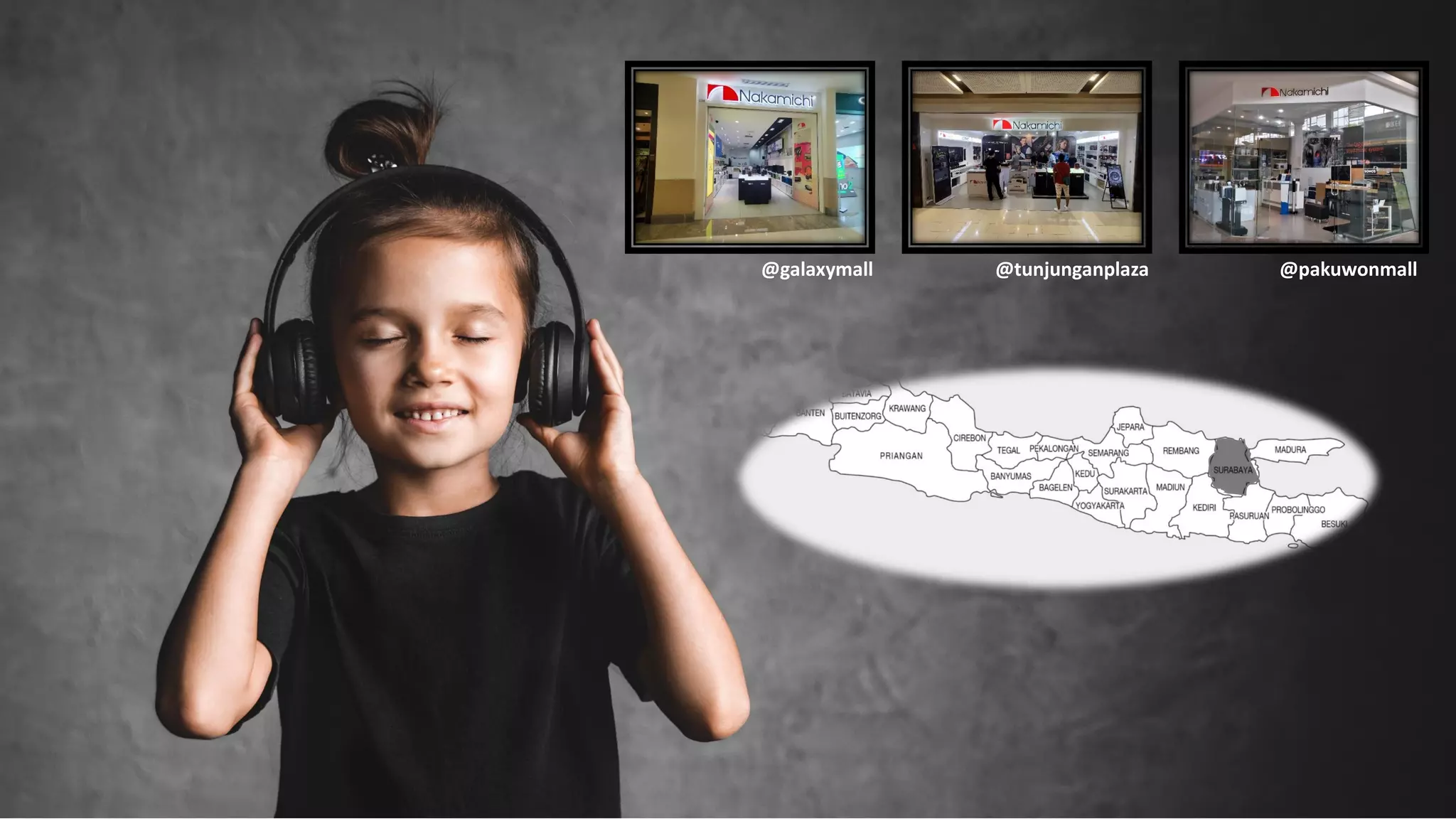 High End Audio Visual System Integration Technology | PDF