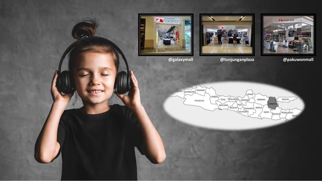 High End Audio Visual System Integration Technology | PDF