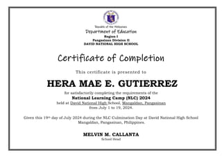 V2-NLC-Certificate-of-Completion_Learner g7.docx