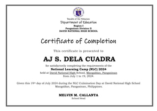 V2-NLC-Certificate-of-Completion_Learner g7.docx