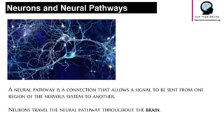 Growth Mindset & Connection to Neuroscience | PPTX