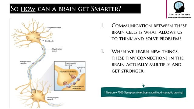 Growth Mindset & Connection to Neuroscience | PPTX