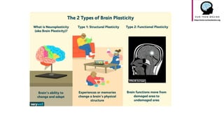 Growth Mindset & Connection to Neuroscience | PPTX
