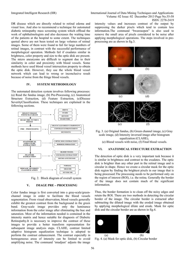 An Approach for the Detection of Vascular Abnormalities in Diabetic Retinopathy | PDF