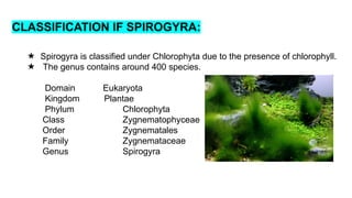 Subject name : General microbiology and microbial diversity.Title ...