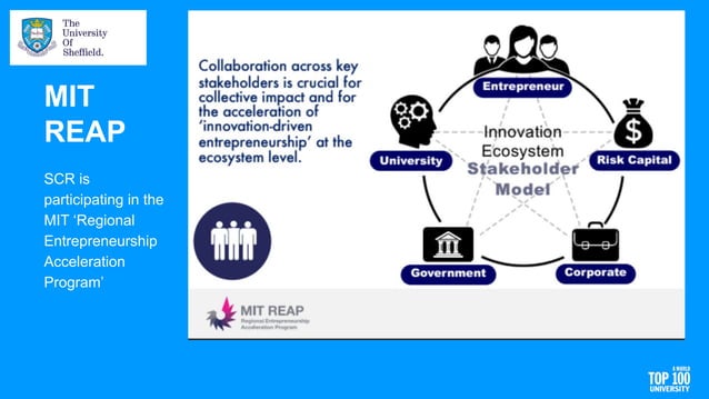 A Skills Ecosystem for Sustained Success: what, why , and how? | PDF