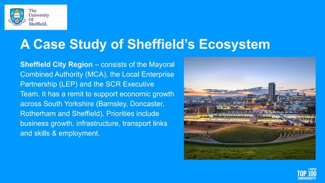 A Skills Ecosystem for Sustained Success: what, why , and how? | PDF