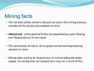Small Scale Gold mine project | PPTX | Commodities | Economy