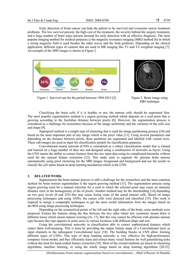 Glioblastomas brain tumour segmentation based on convolutional neural networks | PDF | Brain and ...