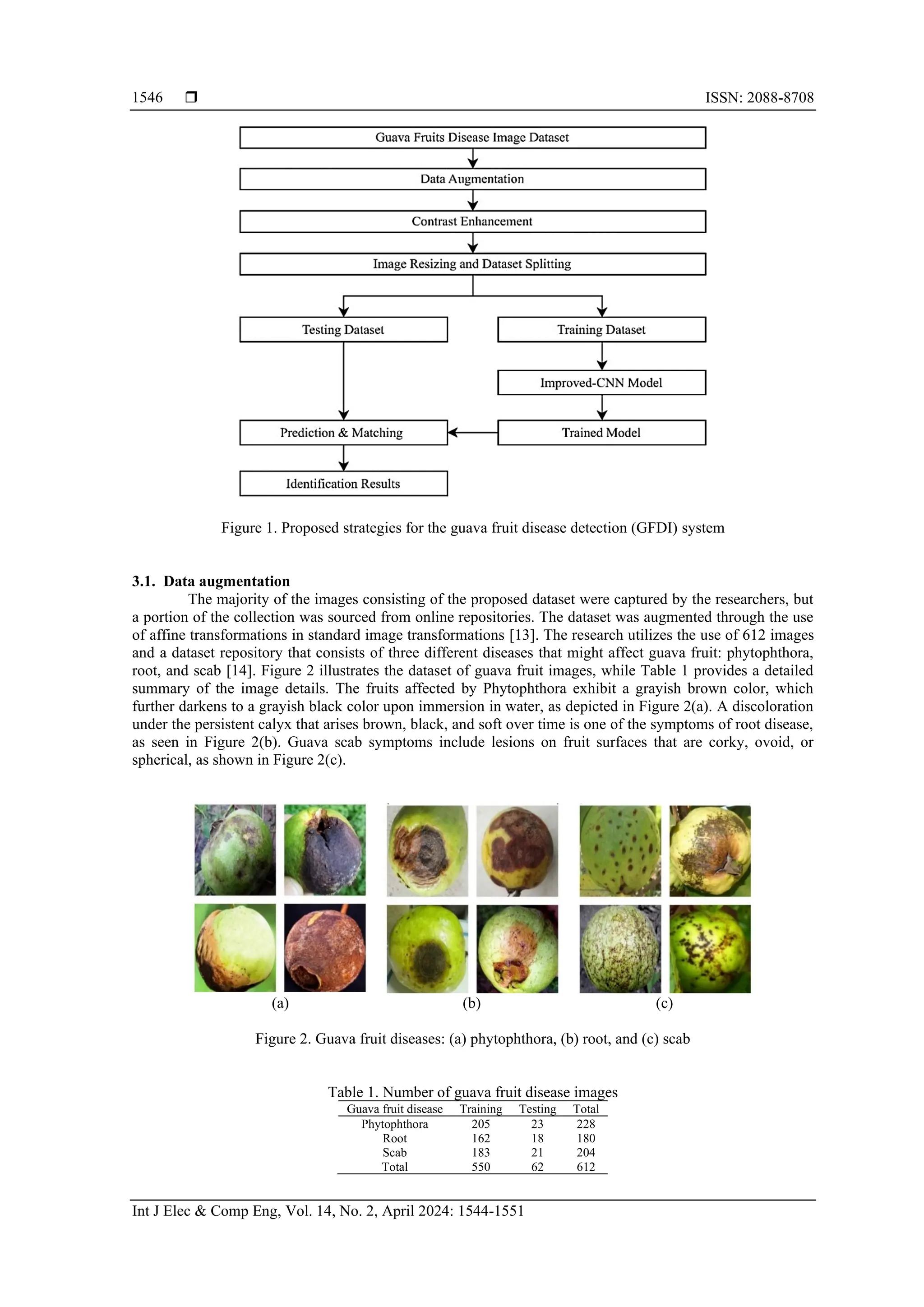 Guava fruit disease identification based on improved convolutional ...