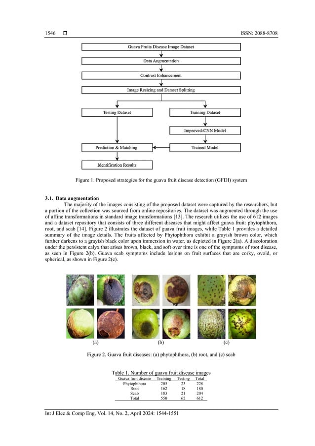 Guava fruit disease identification based on improved convolutional neural network | PDF ...