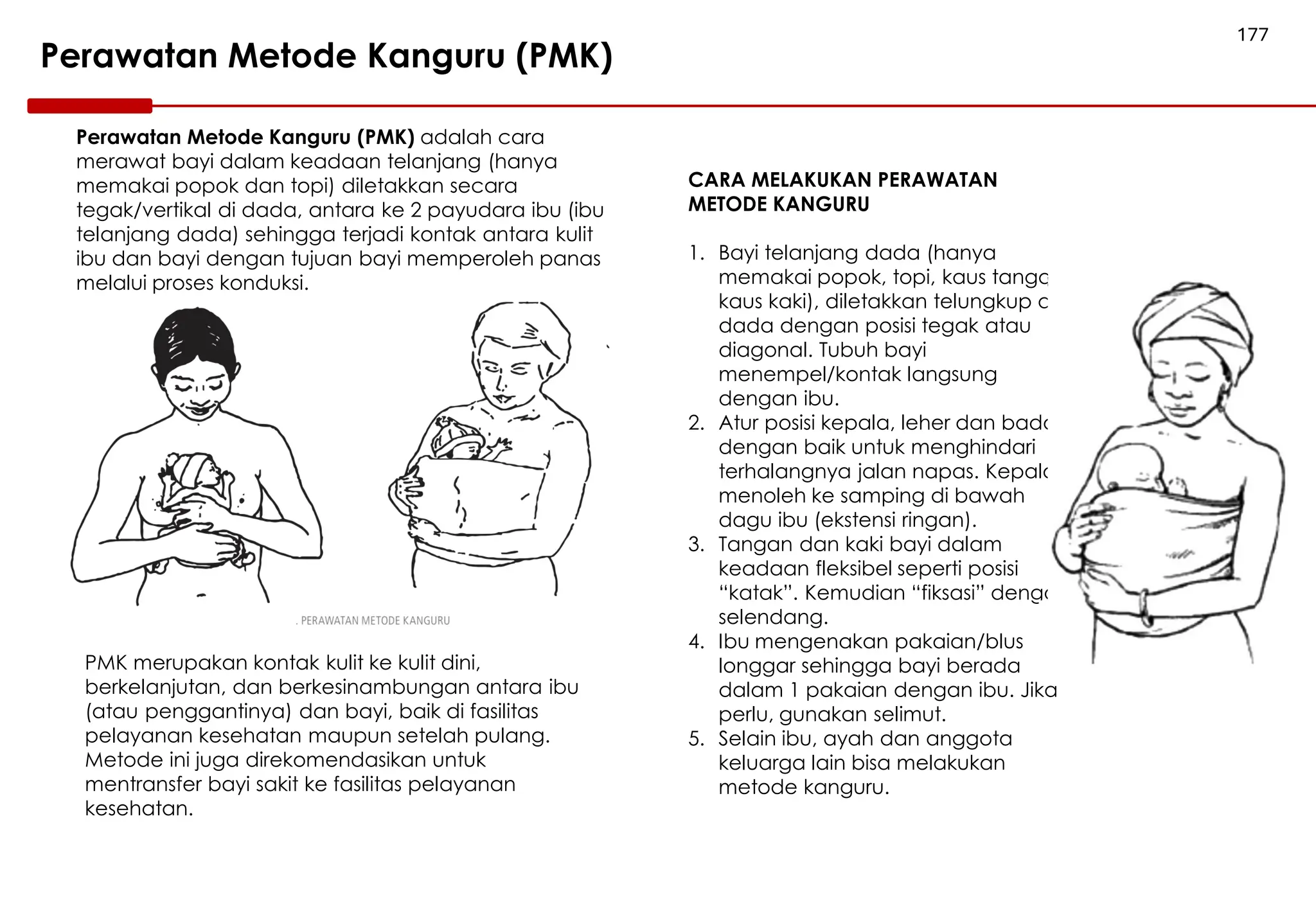 Pedoman Puskesmas Klaster 2 untuk pelayanan ibu dan anak | PDF