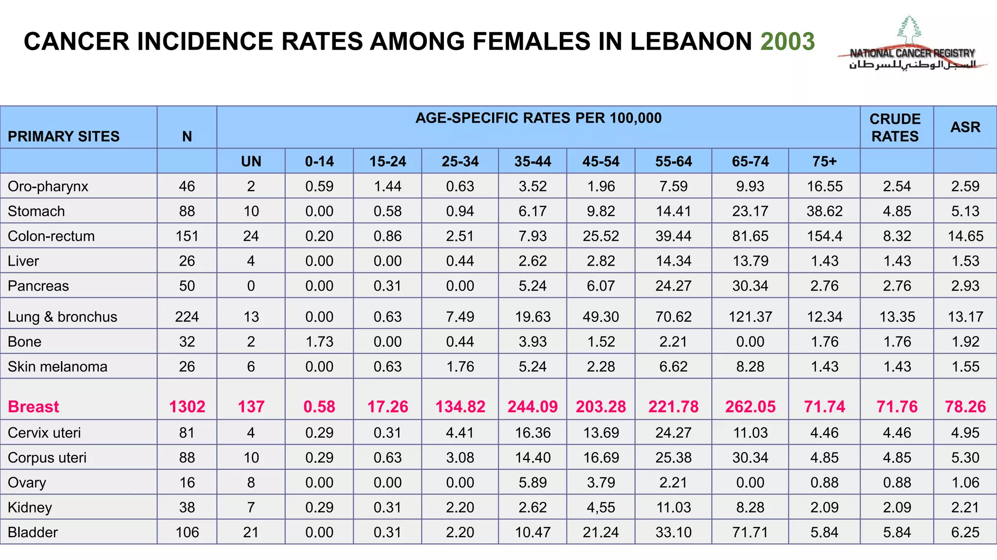 Breast Cancer in Lebanon: overview and statistical data | PPTX
