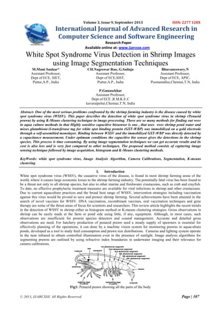 White Spot Syndrome Virus Detection in Shrimp Images using Image ...