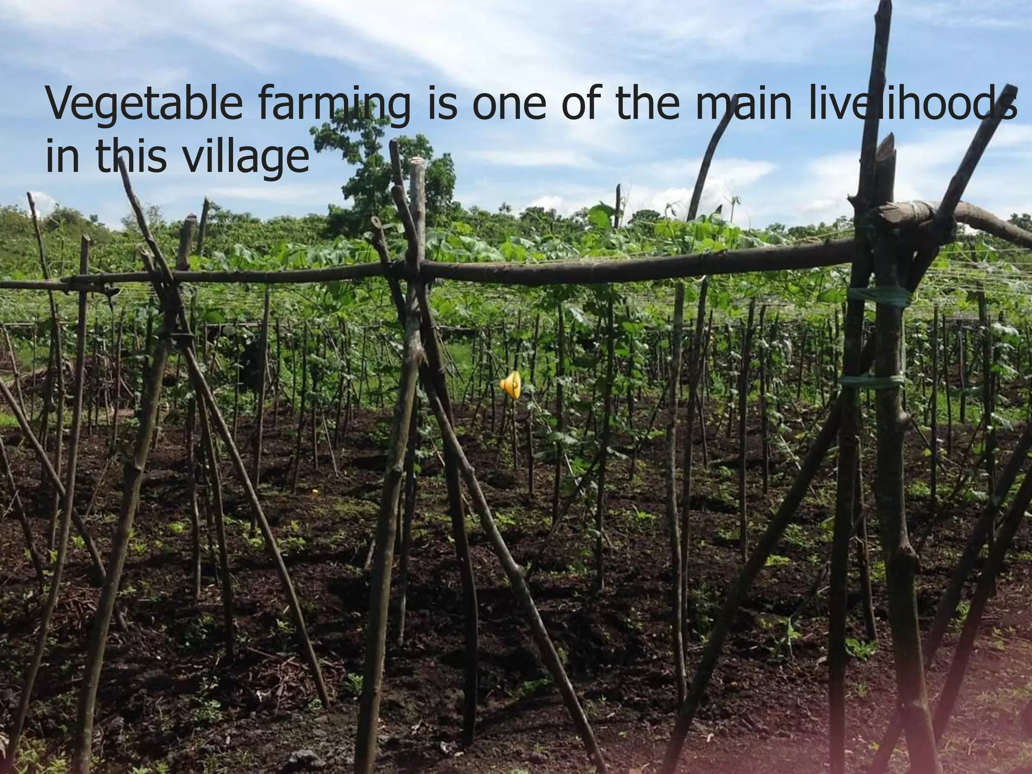 Agrarian societies | PPTX