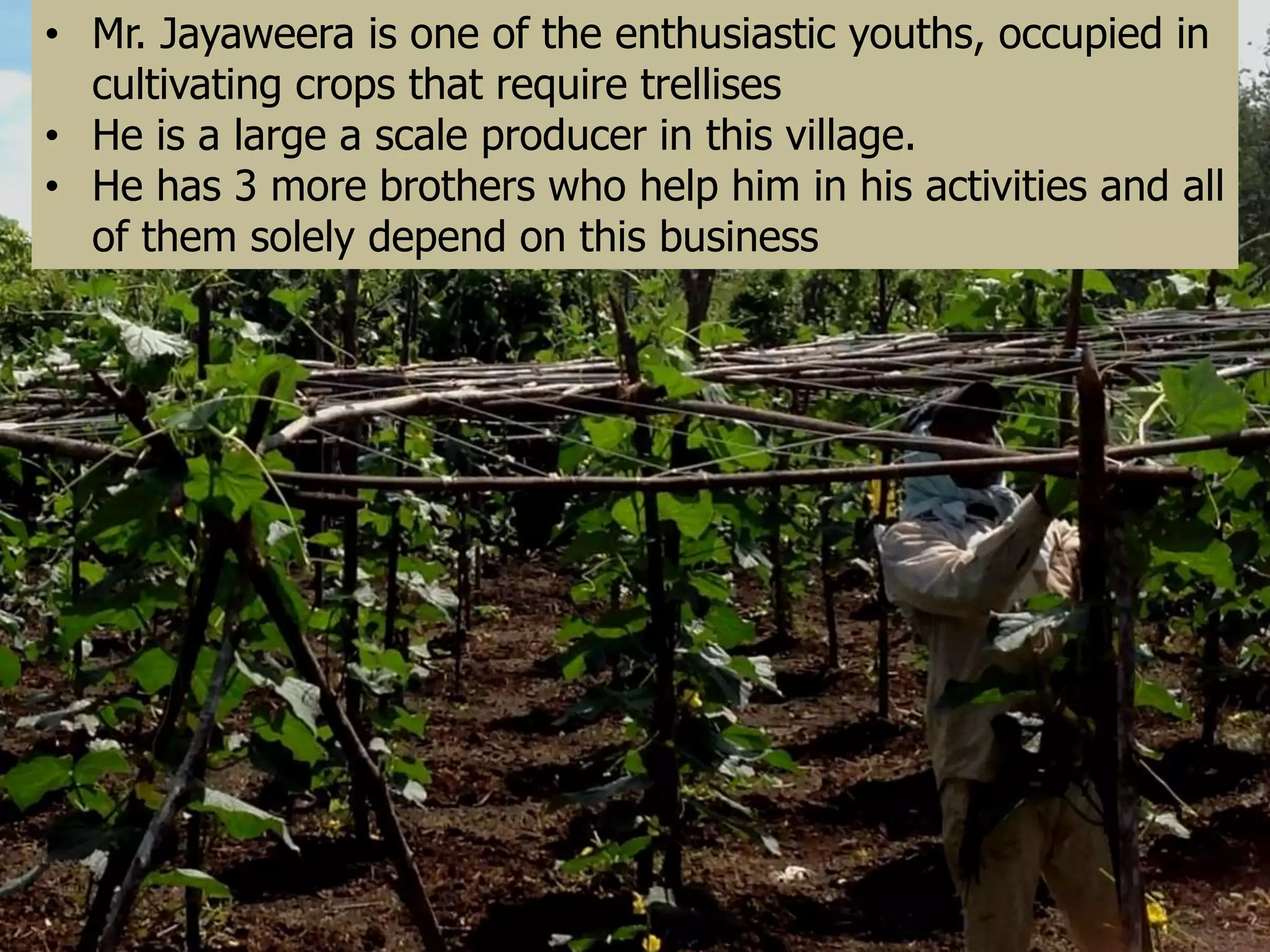 Agrarian societies | PPTX