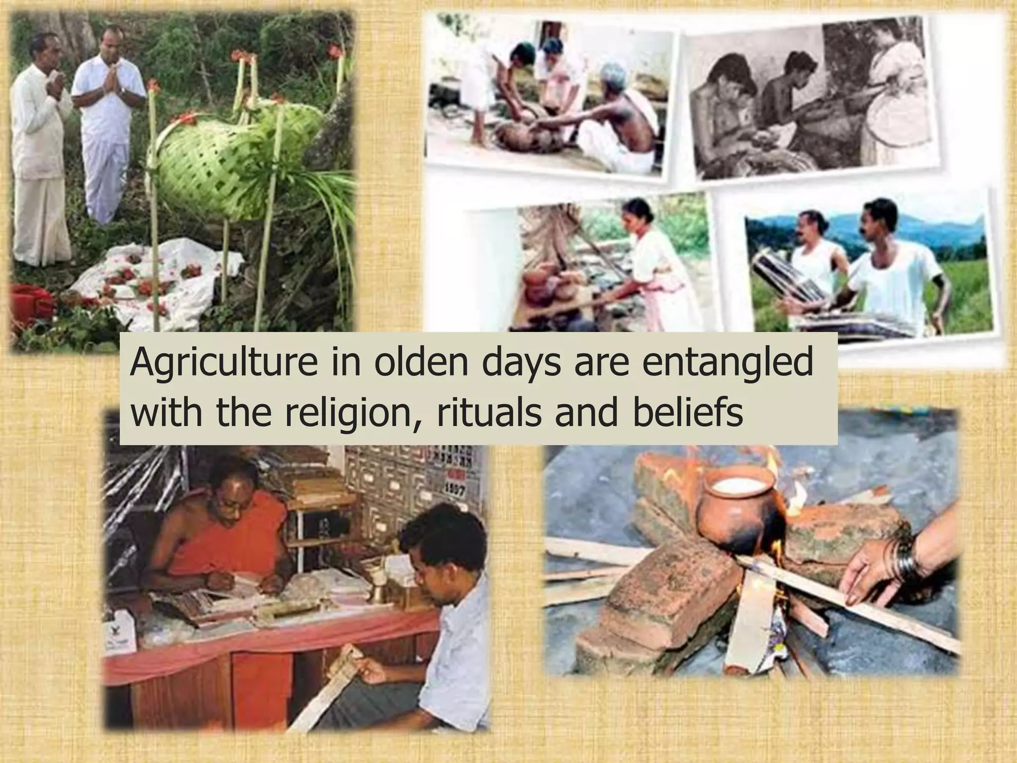 Agrarian societies | PPTX