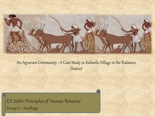 Agrarian Society