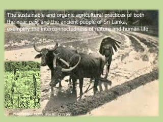 Agricultural Societies