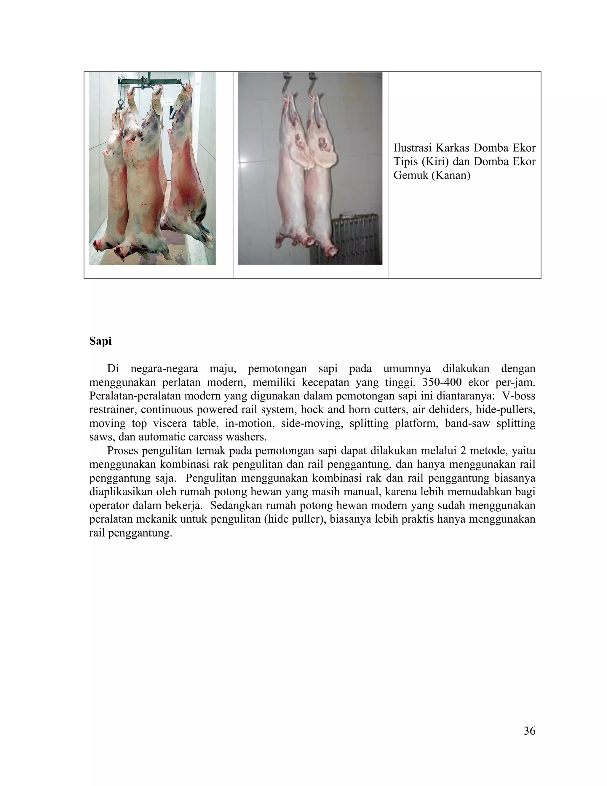 PROSES PEMOTONGAN TERNAK | PDF