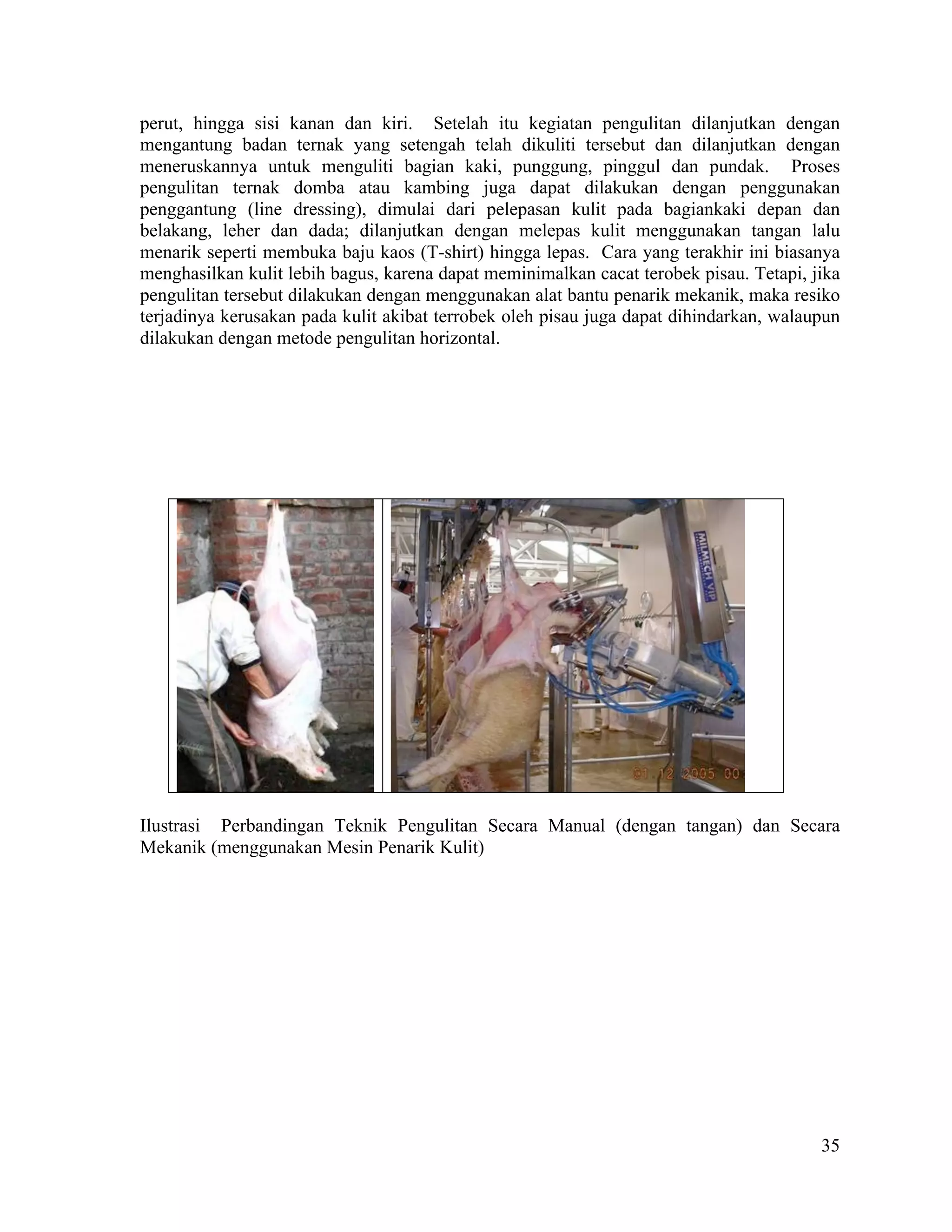 PROSES PEMOTONGAN TERNAK | PDF