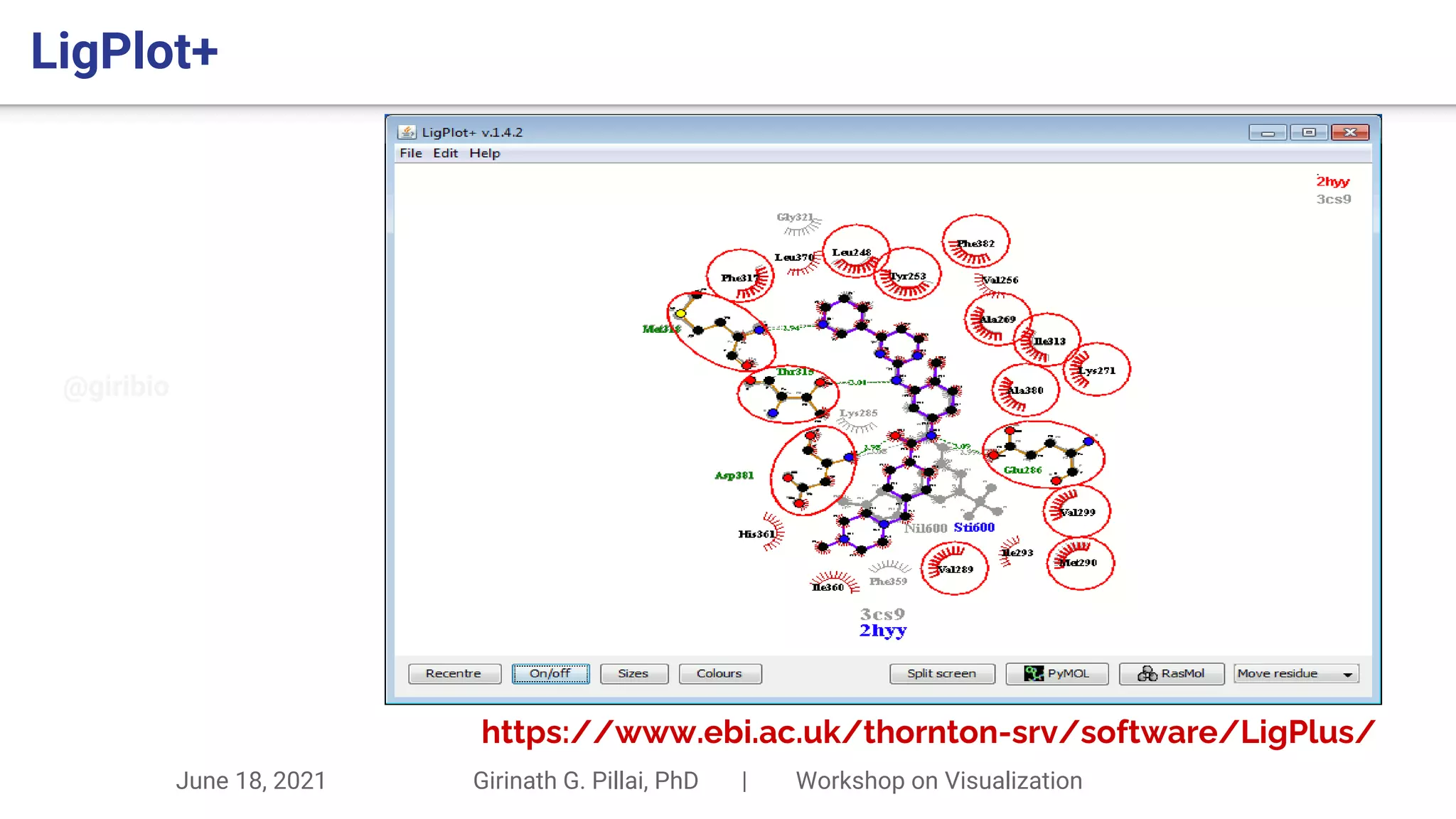 Visualisation Techniques in Drug Design | PPTX