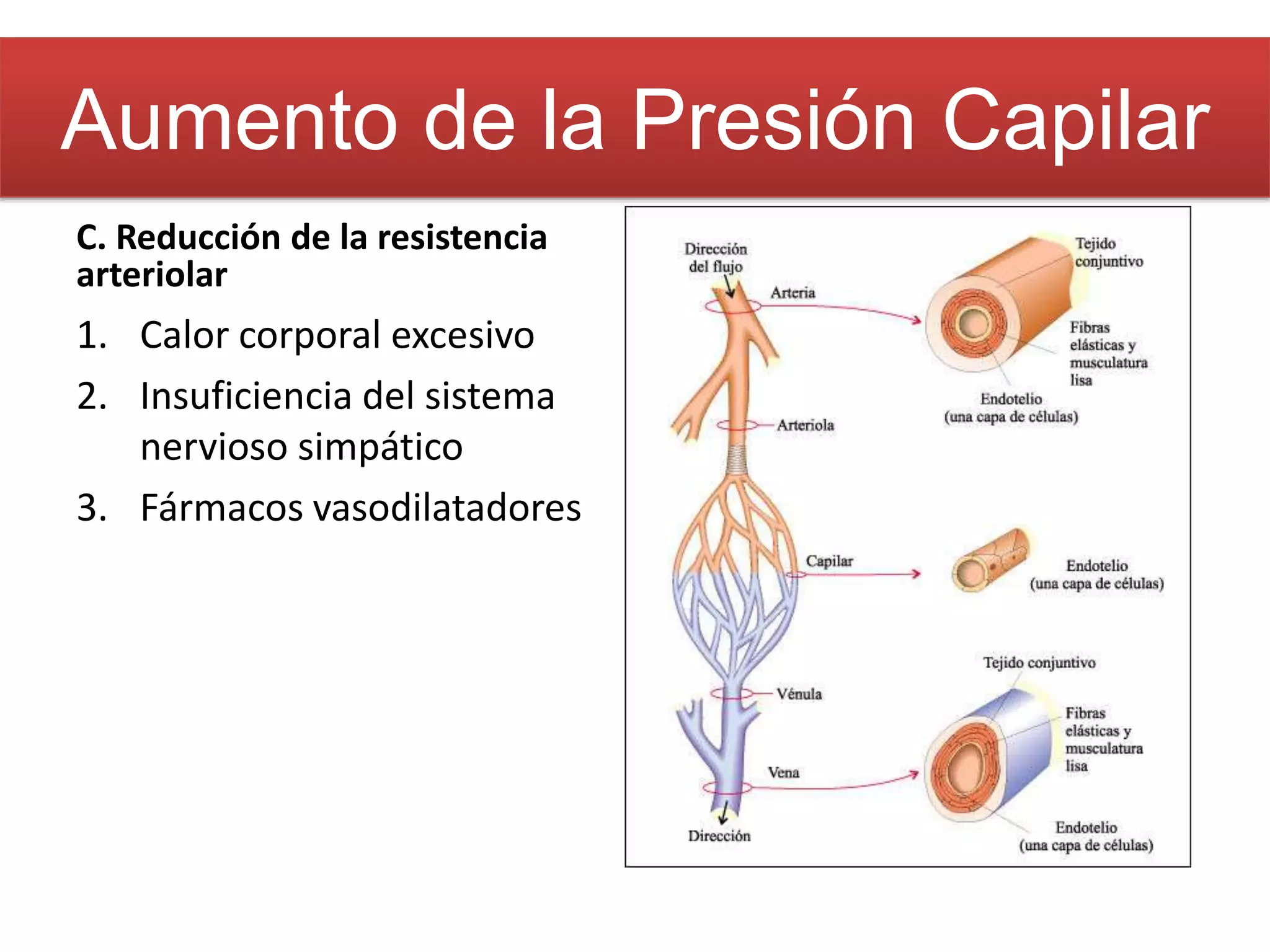 V4 b signos y síntomas, fisiopatología de los diferentes tipos de edema ...