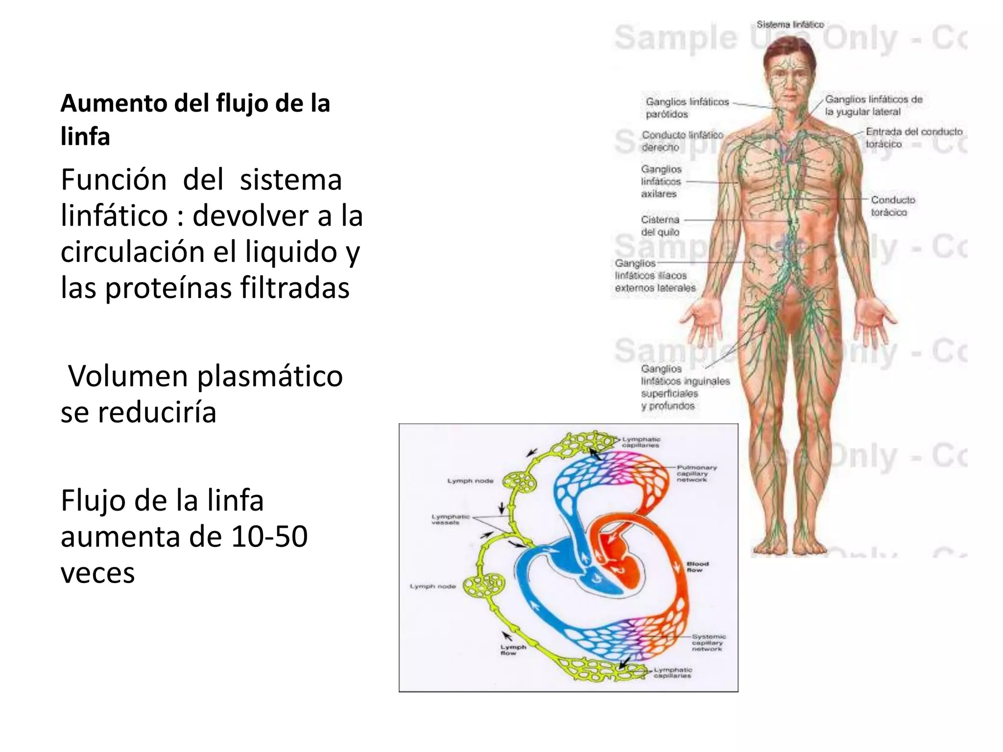 V4 b signos y síntomas, fisiopatología de los diferentes tipos de edema ...