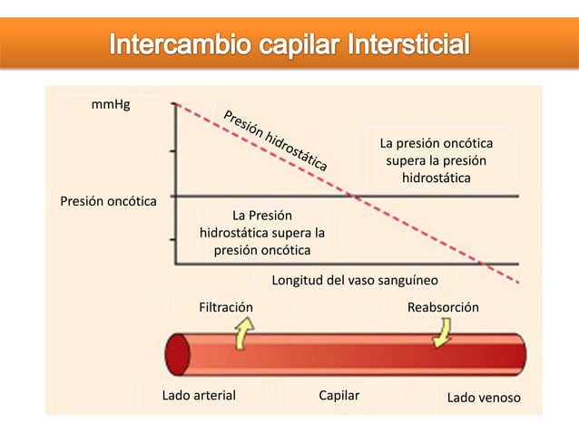 V4 b signos y síntomas, fisiopatología de los diferentes tipos de edema ...